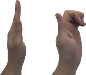 Hand & Finger Function Exercises - Gateshead Health