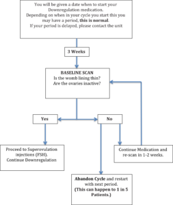 IVF Booklet - Gateshead Health