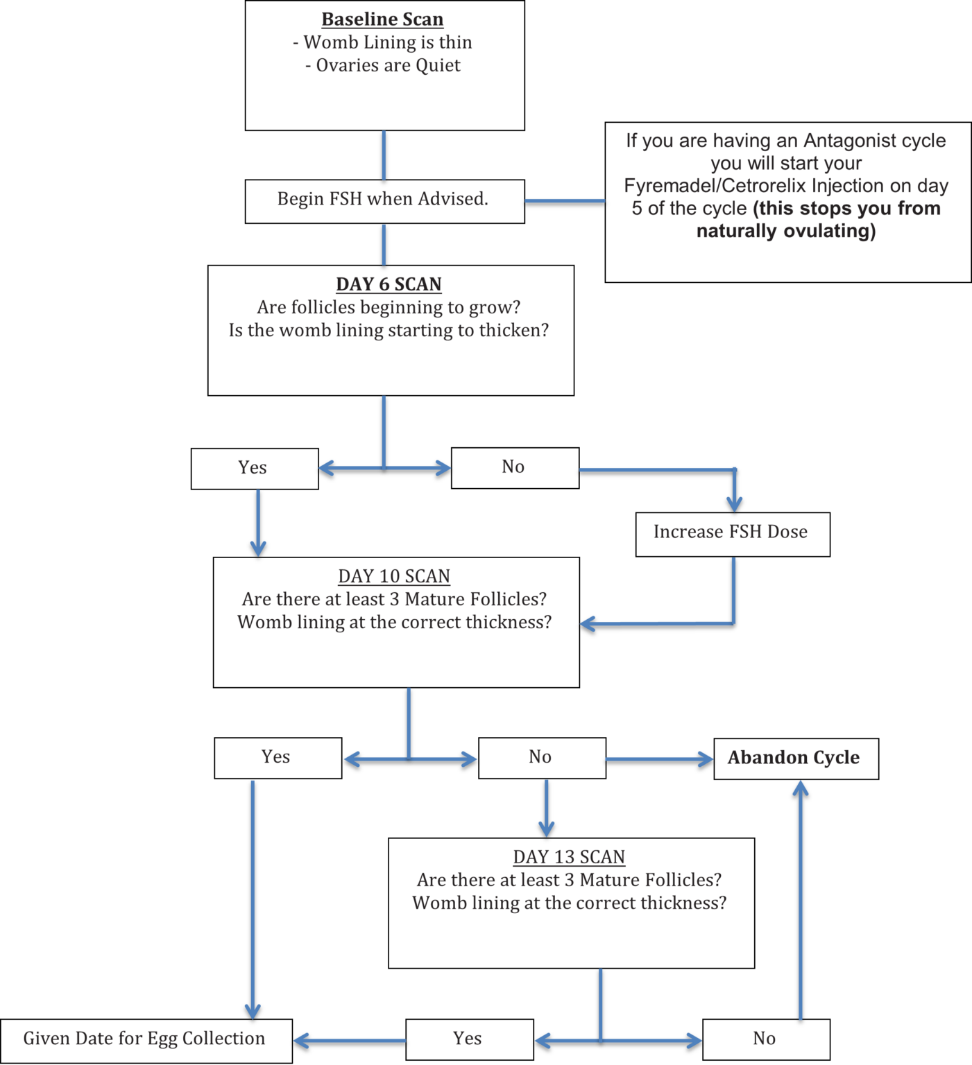 IVF Booklet - Gateshead Health
