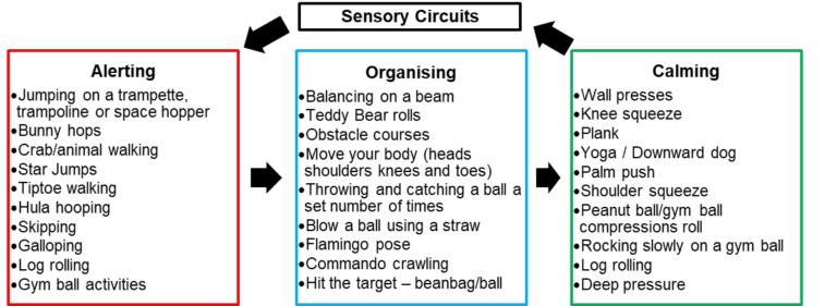 Sensory Circuits - Gateshead Health