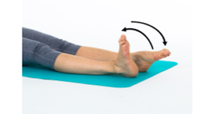 Post Operative - Meniscus Repair - Gateshead Health