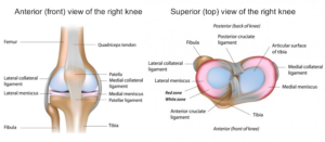 Post Operative - Meniscectomy - Gateshead Health
